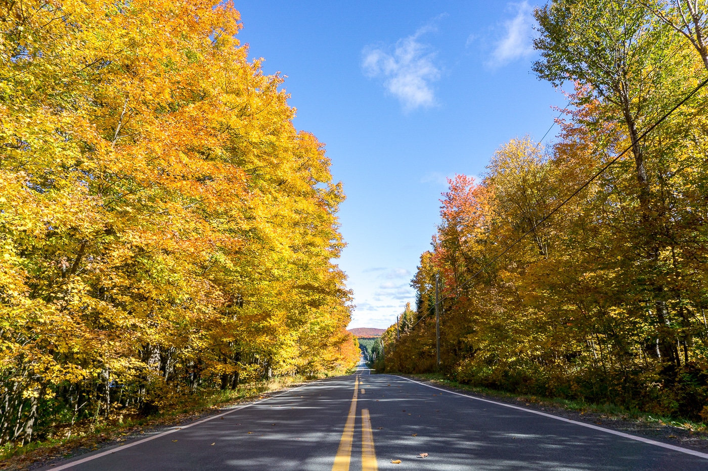 What to Do in Centre-du-Québec: Nature and Fun in the Middle!