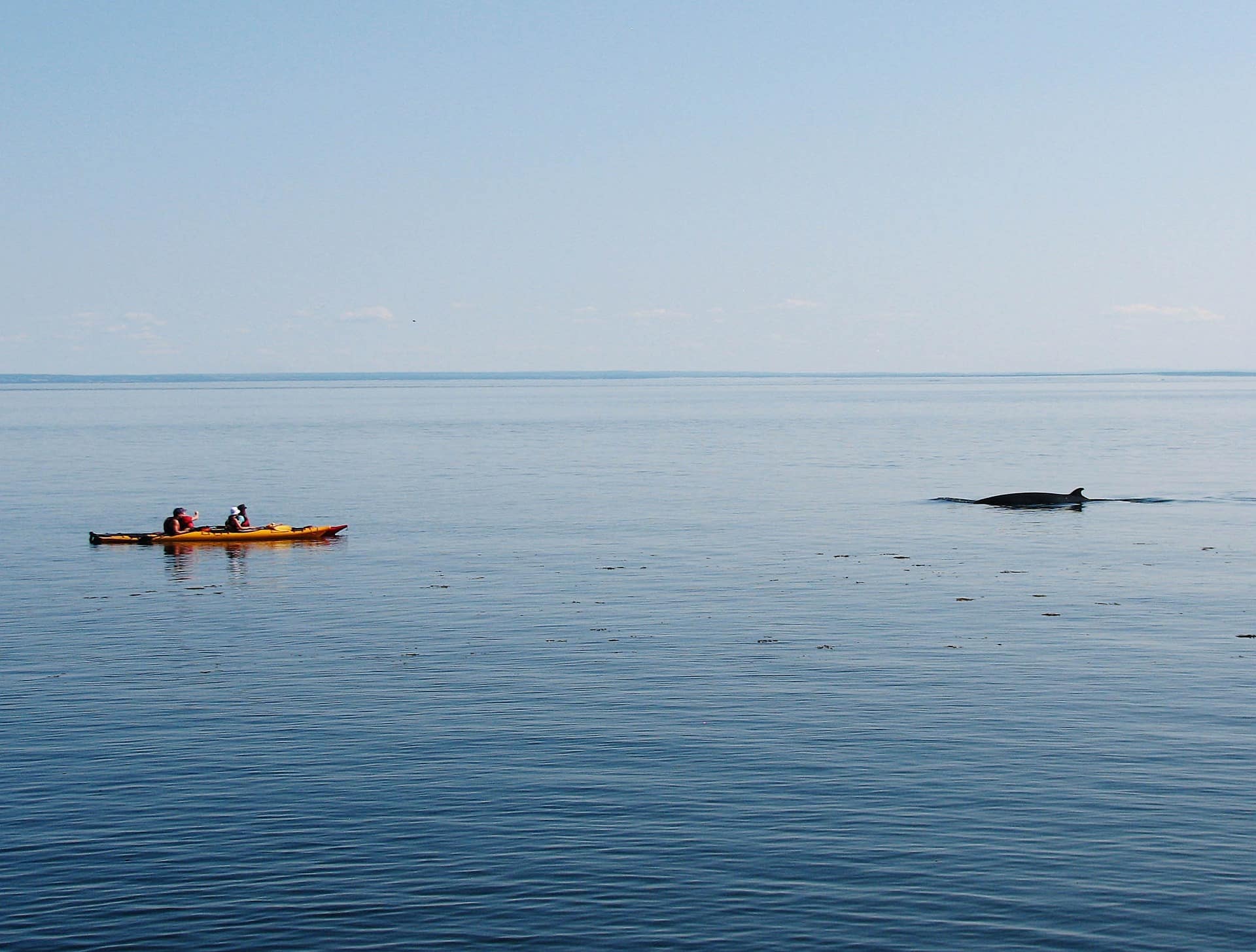 Kayaking in Tadoussac, Quebec's Serene Coast | Chasing Poutine