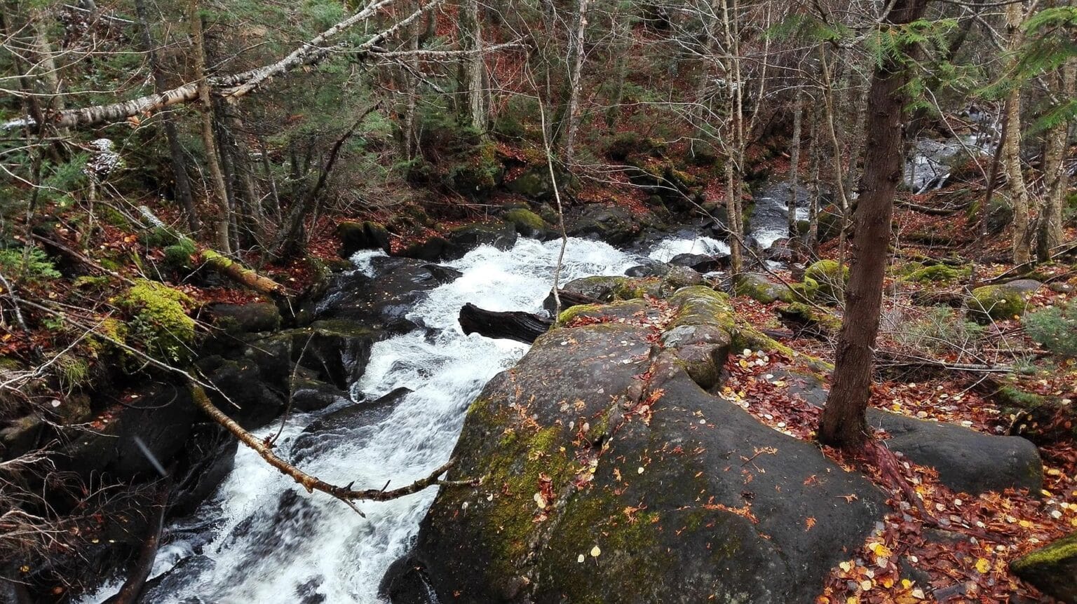 Best Hiking in the Eastern Townships Guide | Chasing Poutine