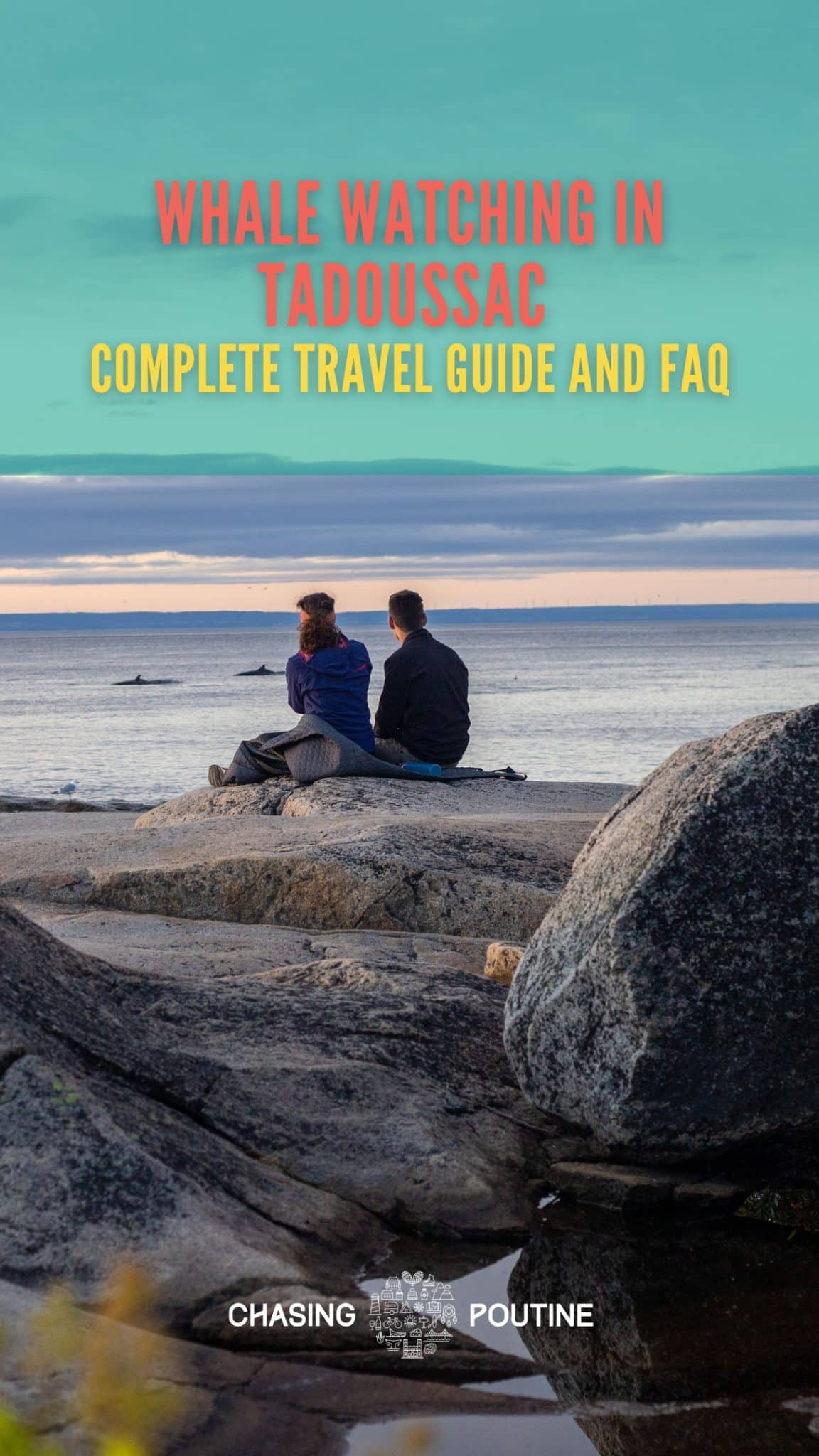 Whale Watching in Tadoussac – Complete Travel Guide and FAQ | Chasing ...