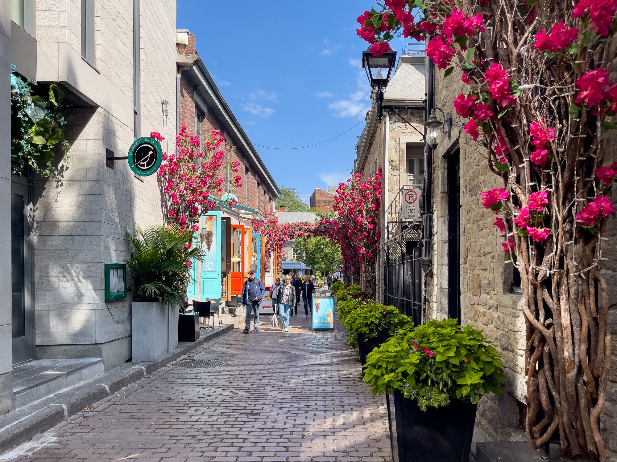 Walking Tour: Old Montreal Self-Guided Itinerary | Chasing Poutine