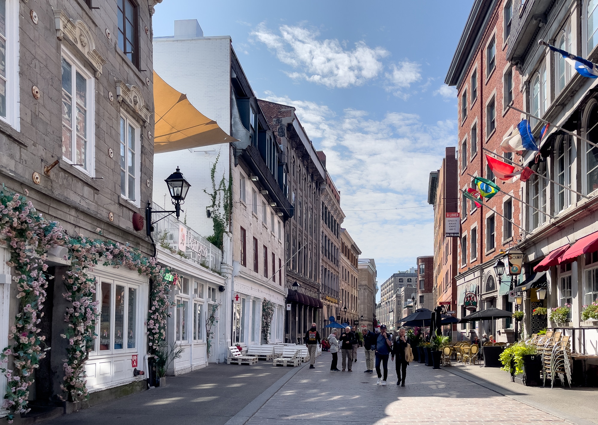 My Favourite Things to Do in Montreal in April | Chasing Poutine