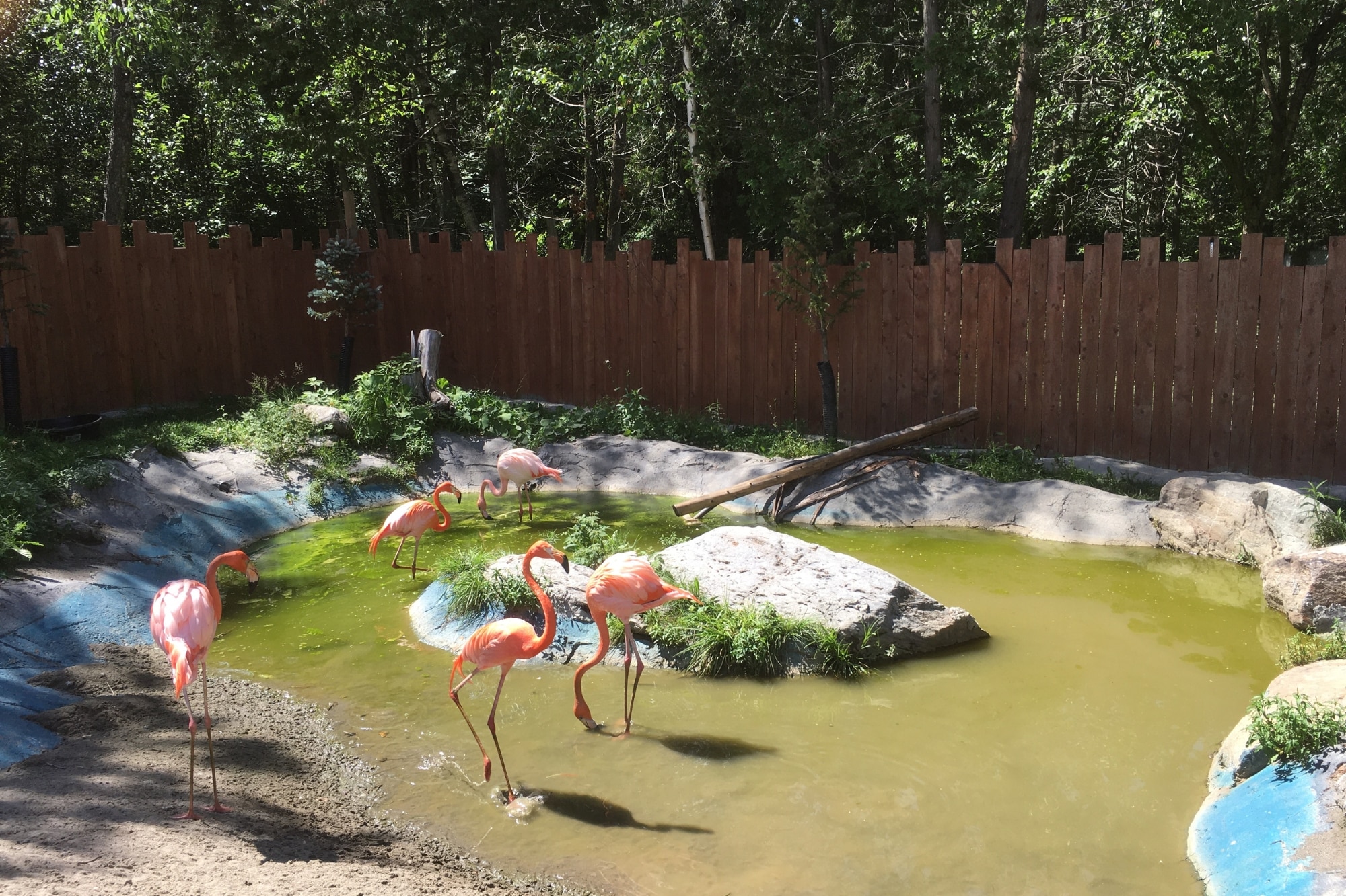 Great Activity Ideas to Do in Chaudière-Appalaches | Chasing Poutine