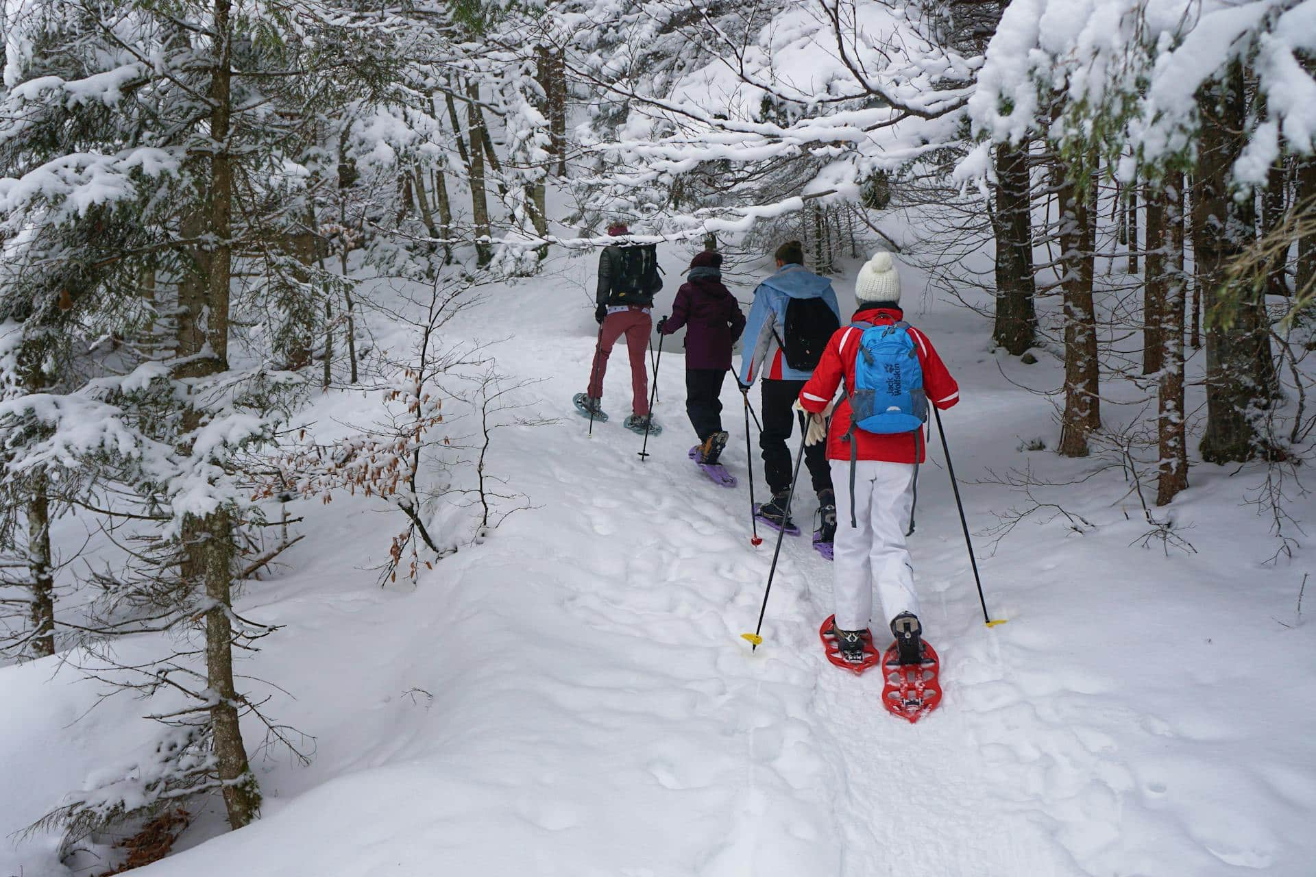 8 Gatineau Park Snowshoe Trails to Enjoy This Winter